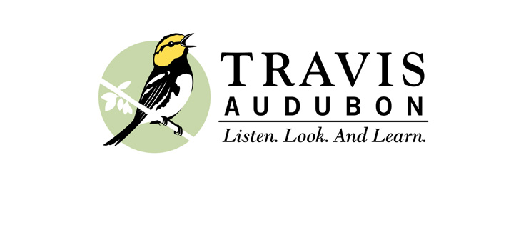 The Travis Audubon Society: Bird Migration in Central Texas - Dripping ...